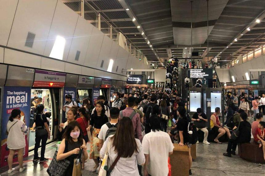 Train services resume on NEL following 2-hour disruption due to ...