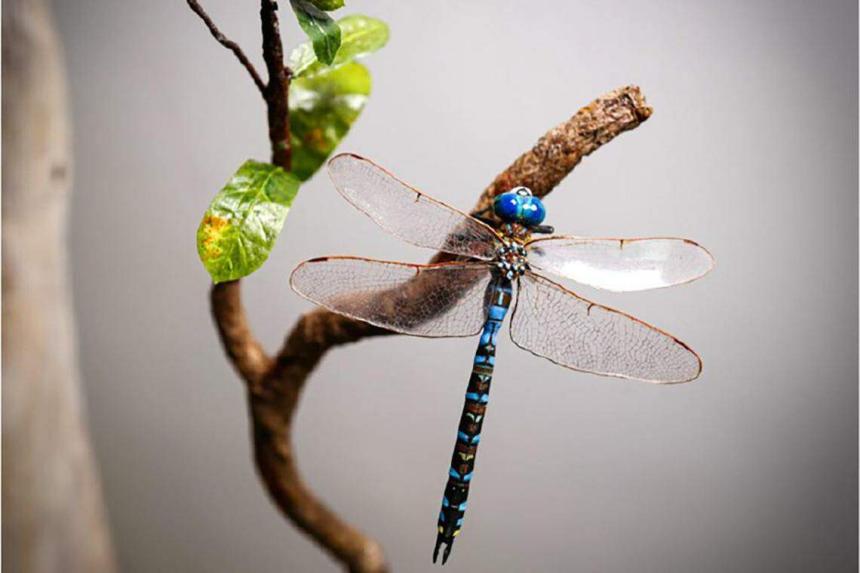 Singapore’s first competition for turning trash into works of art | The ...