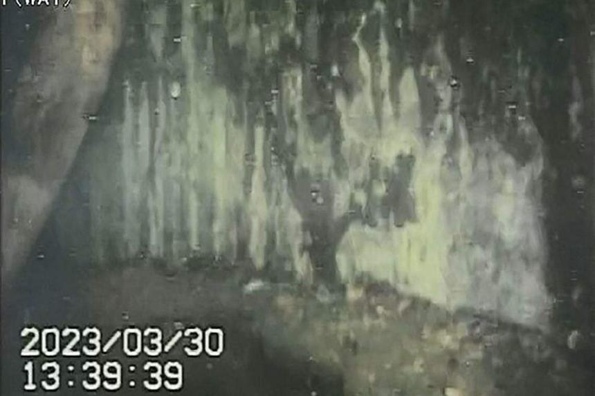 Video probe from inside Fukushima reactor shows heavy damage | The ...