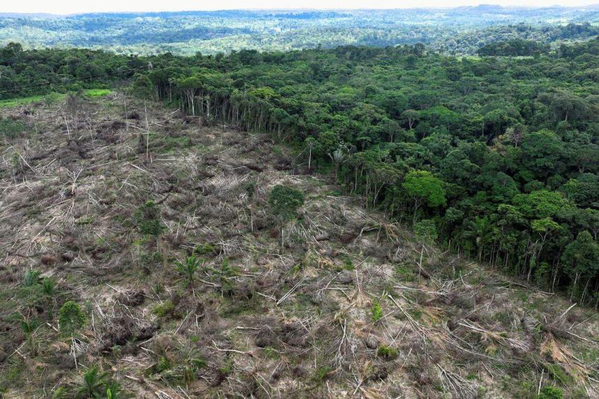 Despite President Lula’s promises, deforestation still rampant in ...