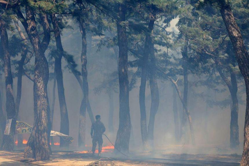 Wildfire in South Korea forces 500 residents to evacuate as rain helps fight flames | The ...