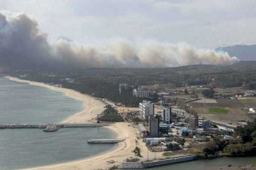 Wildfire in South Korea forces 500 residents to evacuate as rain helps ...