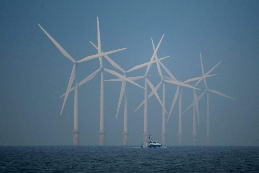 Offshore wind farms send some North Sea birds fleeing: Study | The ...