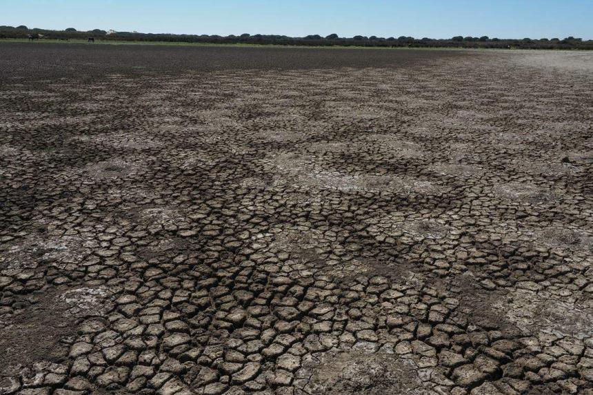 ‘Flash drought’ frequency increasing due to climate change: Study | The ...