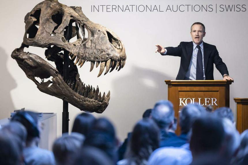 Trinity the T-rex claws in more than $8 million | The Straits Times