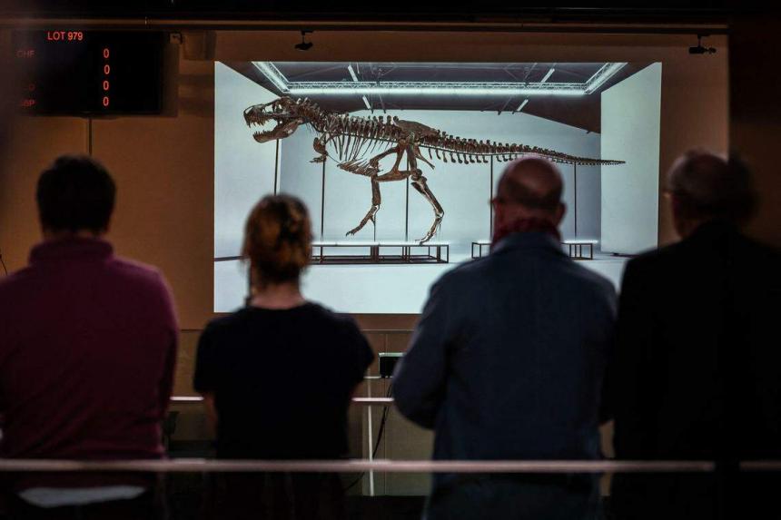 Trinity the T-Rex bought by art foundation, to go on show in Antwerp ...