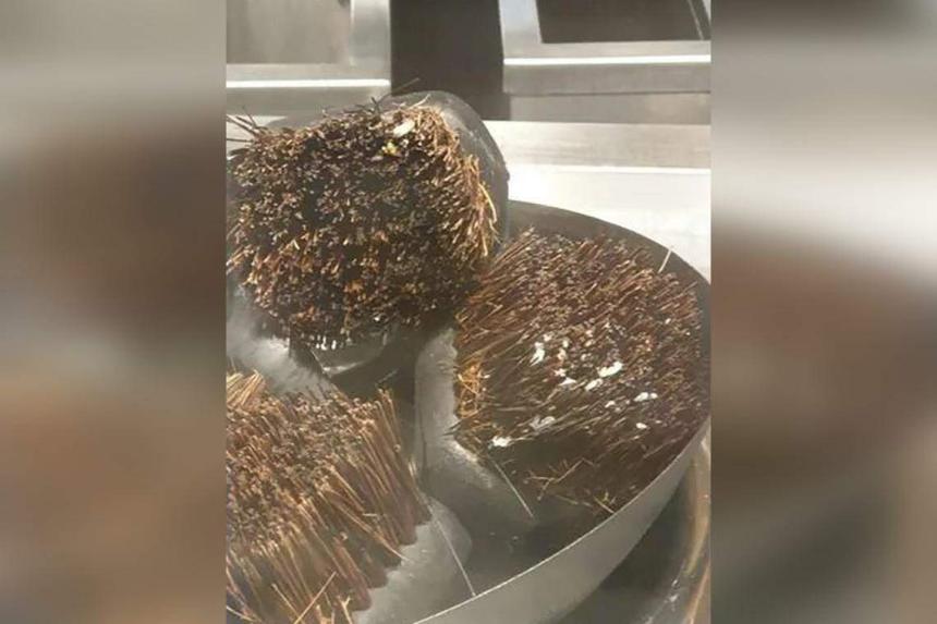 Woman finds insects crawling on Wok Hey’s cleaning brushes; SFA ...