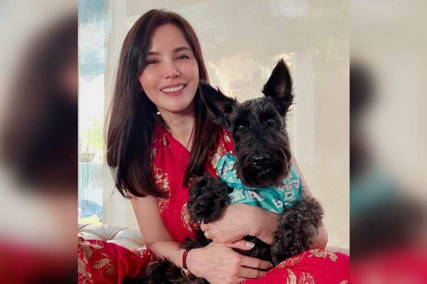 Actress Zoe Tay’s pet dog Pepper dies | The Straits Times