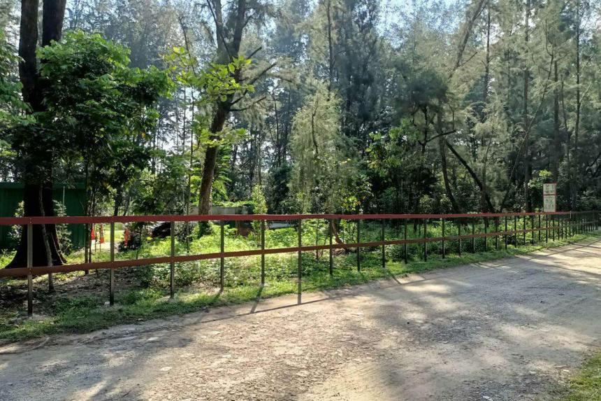 Old firefighting hoses find new lease of life as park fences, ‘toys ...