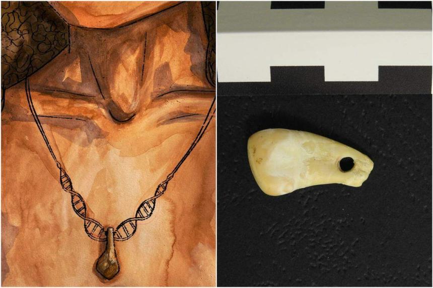 The pendant is 20,000 years old. Ancient DNA shows who wore it | The ...