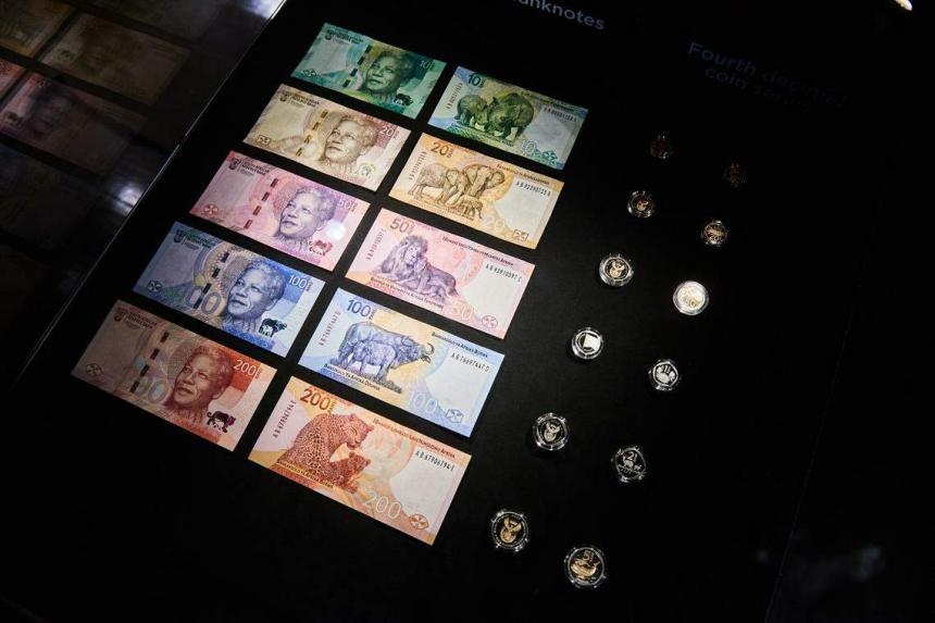 Baby animals join Nelson Mandela on environment-themed South African ...