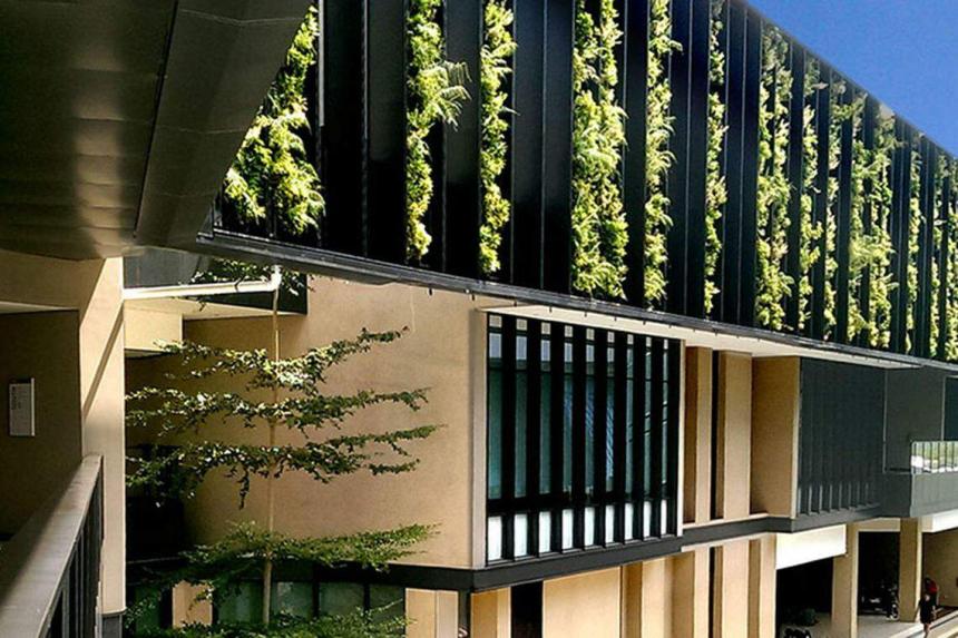 Temasek Poly sets 2050 net-zero target for sustainability road map ...