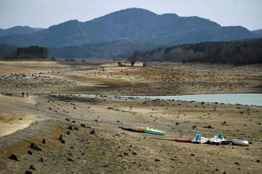 Europe’s drought-riven future is here, decades earlier than expected ...