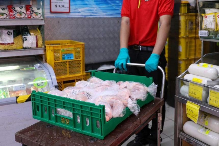 Singapore begins importing live broiler chickens from Indonesia | The ...