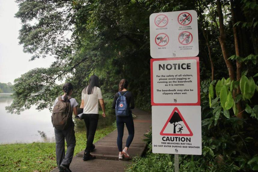When hiking, avoid going off trail and standing on logs for Instagram ...