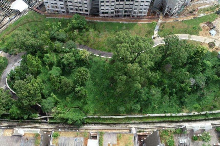 More than 70% of flats in Bidadari delivered, estate on track for ...