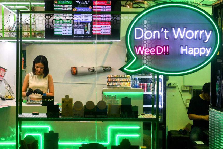 Thai cannabis sector spooked as Move Forward Party mulls over reversing legalisation | The ...