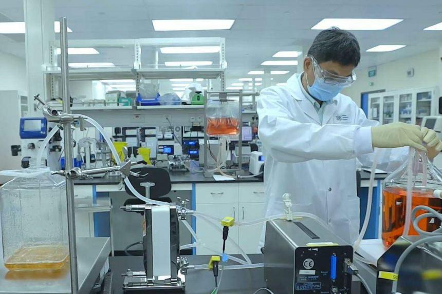 A*Star, Hilleman Laboratories to jointly study new tech to develop Nipah virus vaccine | The ...