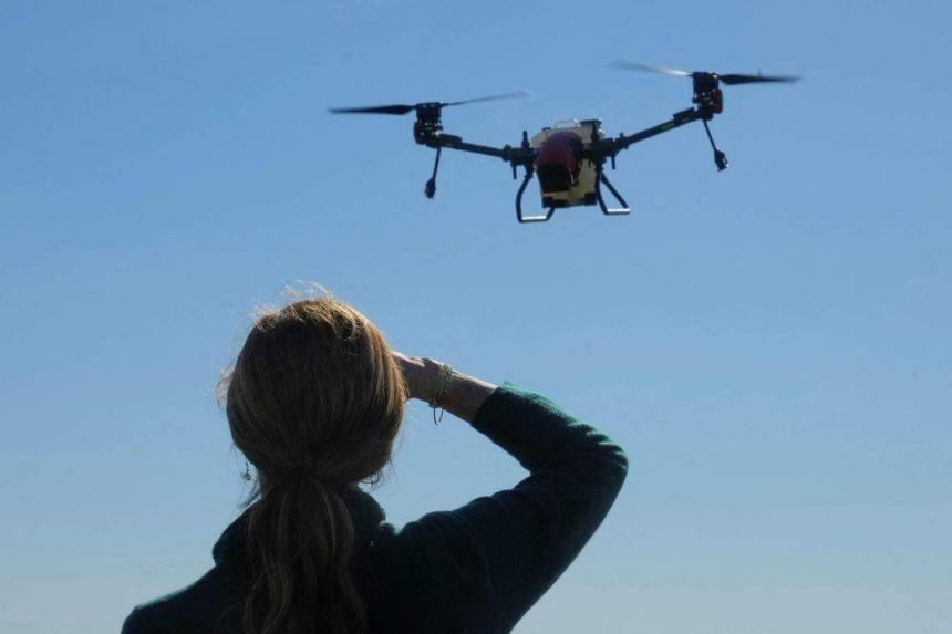 US approves $1.37b sale of counter-drone systems to Qatar | The Straits ...