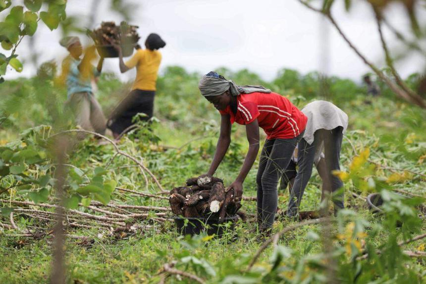 Low-income countries may be left behind without action on jobs: ILO ...