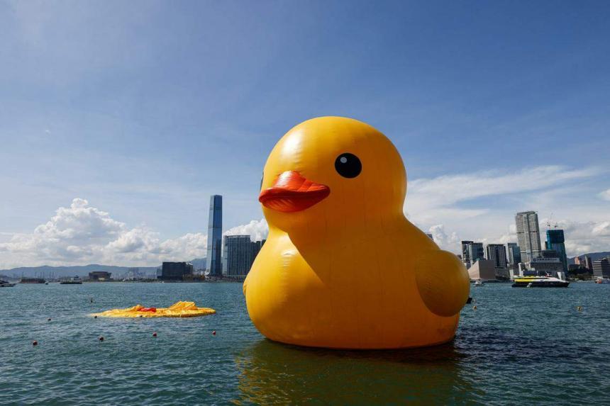 Organisers forced to deflate one of two giant rubber ducks in Hong Kong ...