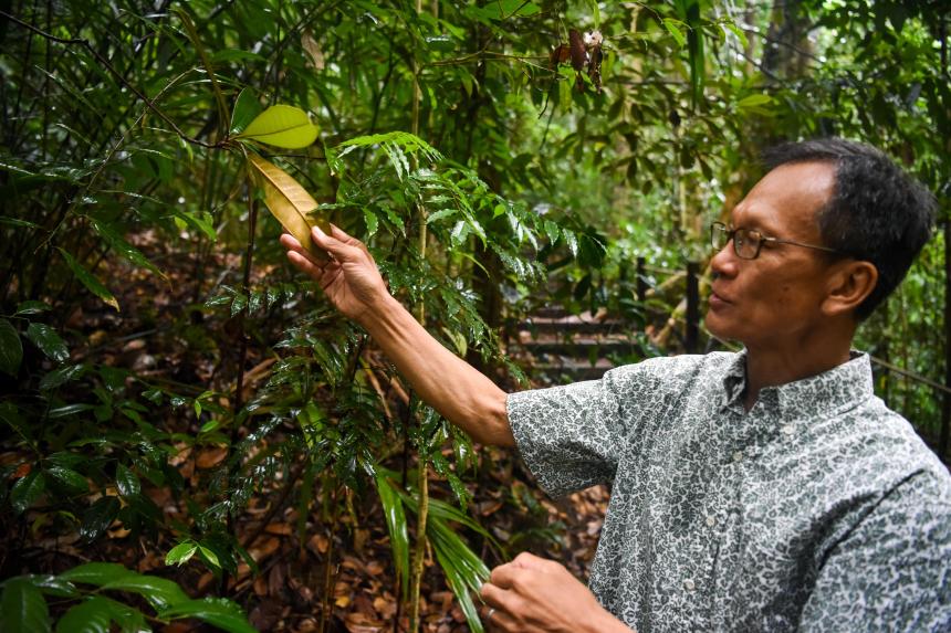 Conservation work still the focus of former president of Singapore’s ...