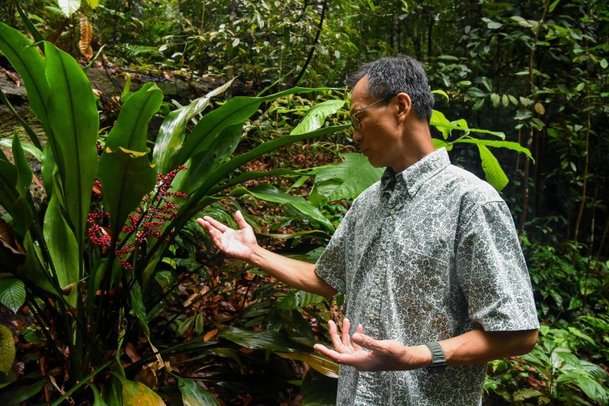 Conservation work still the focus of former president of Singapore’s ...