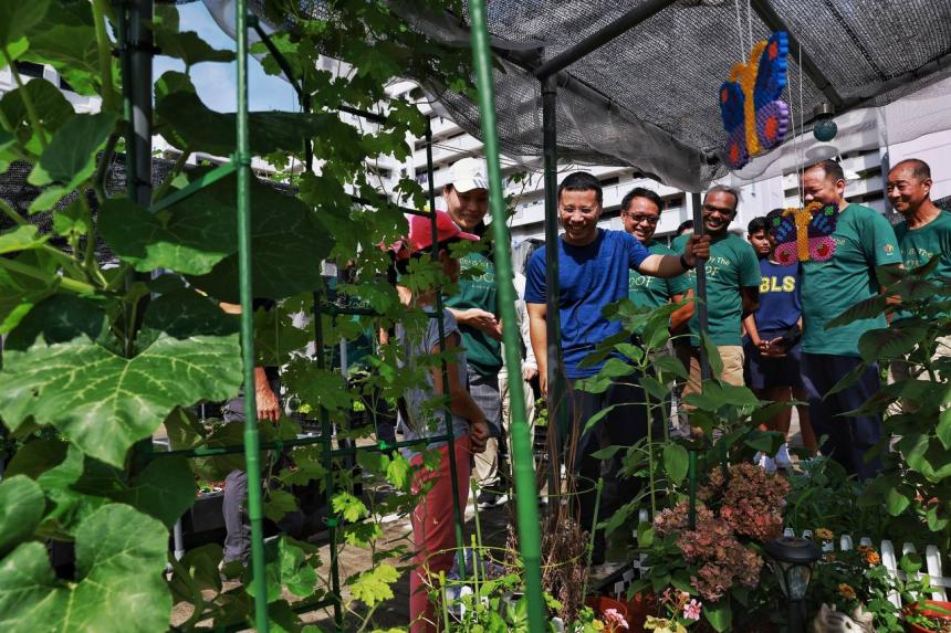 Residents grow their own greens at Jurong’s first allotment garden on ...