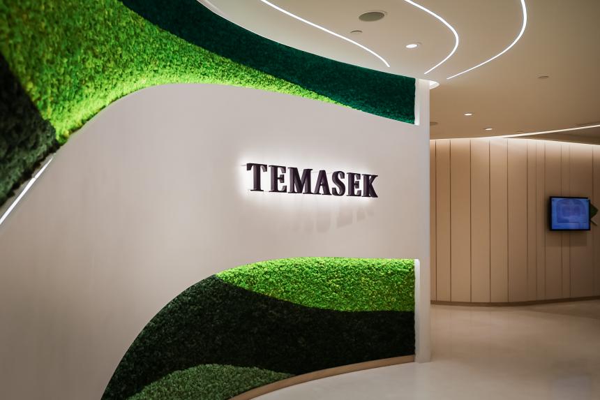 Temasek makes $7 billion loss as one-year shareholder return turns negative | The Straits Times