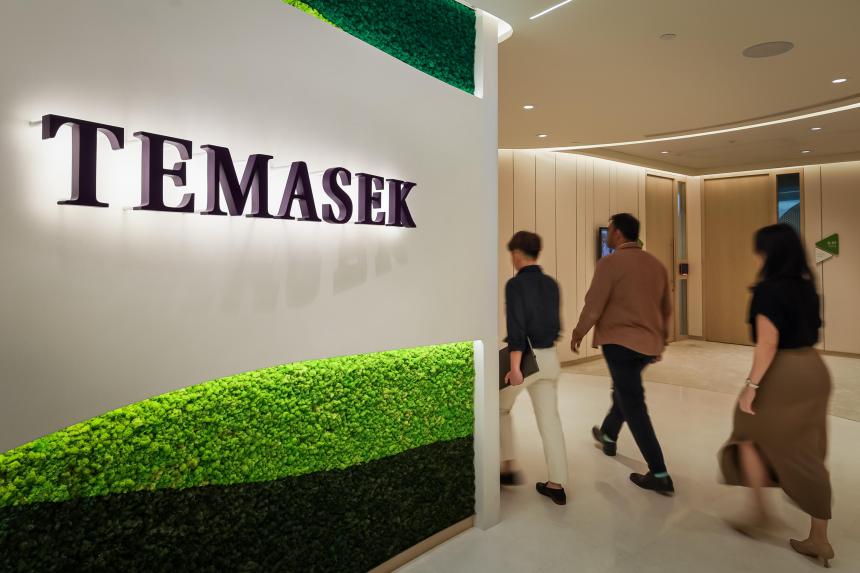 Temasek seeks partnerships to deploy up to $6.6b a year in India | The ...