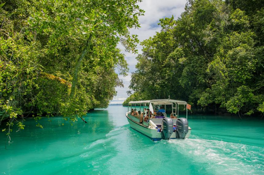 Palau: The next Maldives and a mini-Galapagos too | The Straits Times