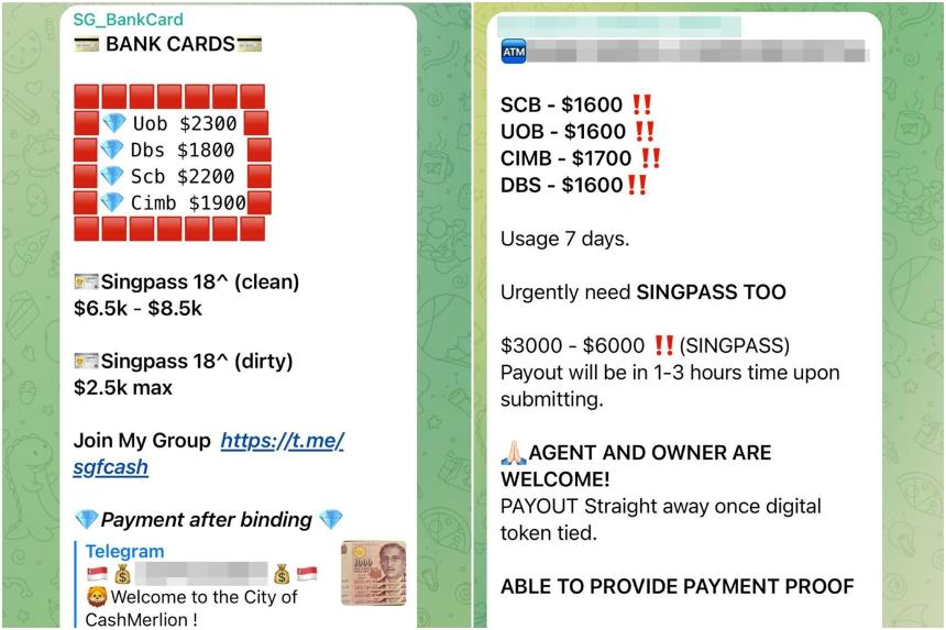 Money mules: Scam syndicates use Telegram to recruit young people for ...