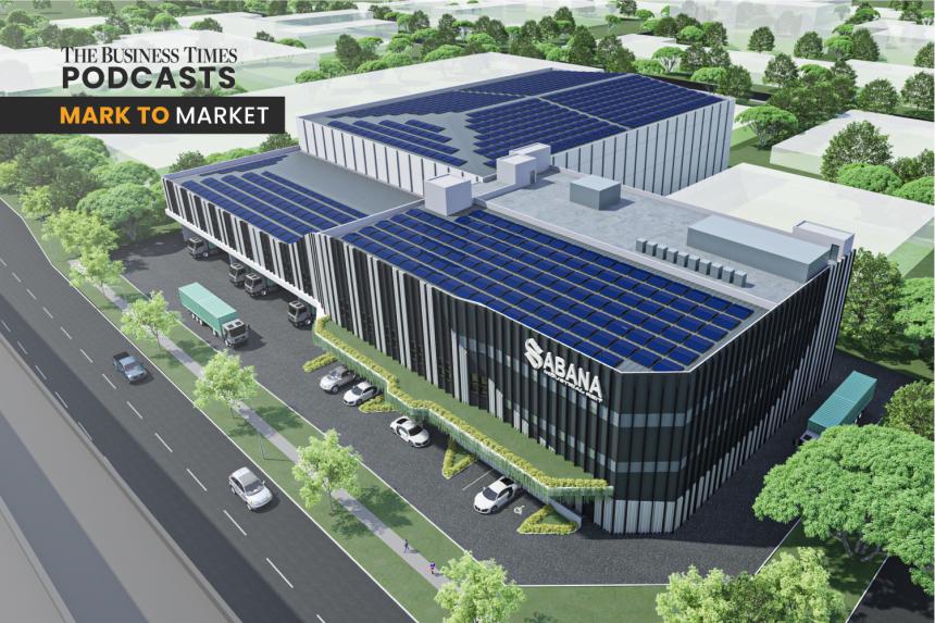 BT Mark To Market Podcast: Sabana Reit in uncharted territory | The ...