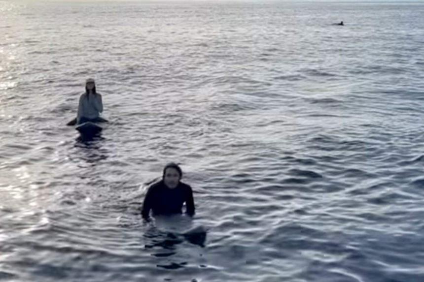 Australian surfers found alive after boat went missing; one Indonesian ...