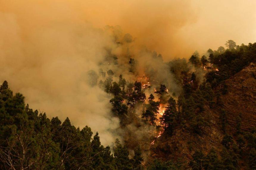 Thousands evacuated as wildfire on Spain’s Tenerife island spreads ...