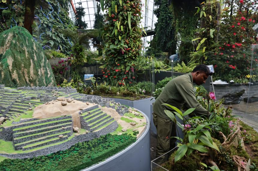 Journey the Inca Trail, admire orchids from Machu Picchu at Gardens by ...