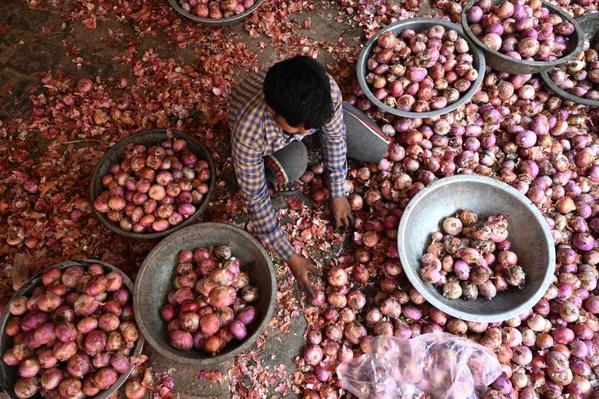 India imposes 40% export duty on onions with immediate effect to calm rising prices | The ...