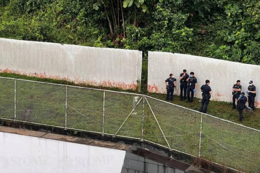 Badly decomposed body of man found outside Republic Polytechnic ...