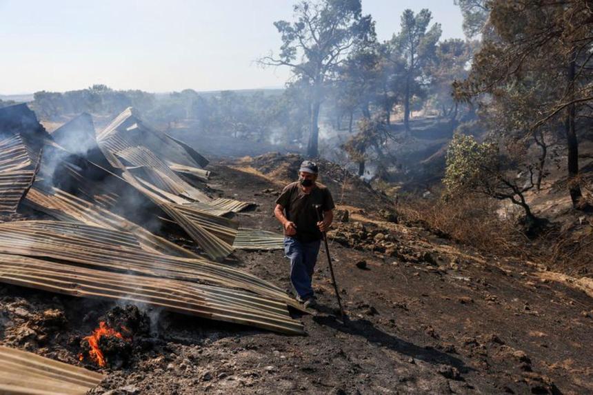Goat breeder says he's finished after deadly Evros wildfire kills ...