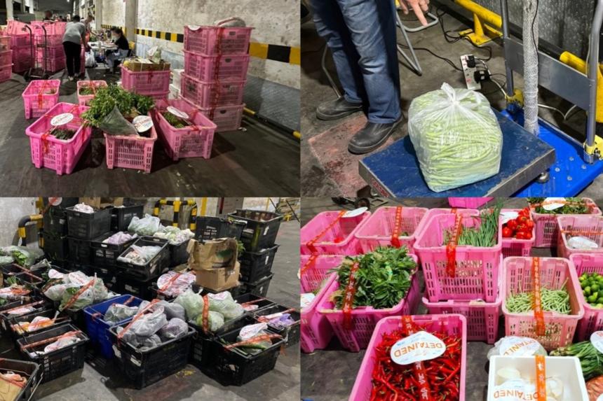 More than 1.6 tonnes of illegally imported vegetables seized at ...