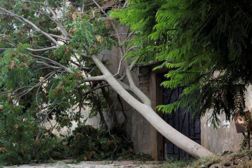 At least 2,300 dead in ‘epic’ Libya floods, thousands more missing ...