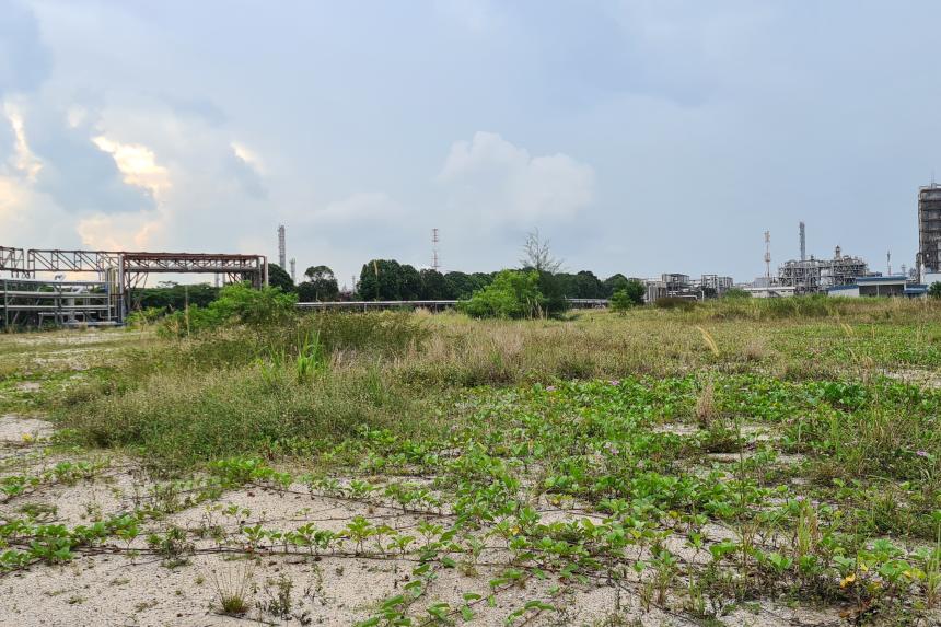 Keppel power plant to be built on former chemical plant site; nature ...