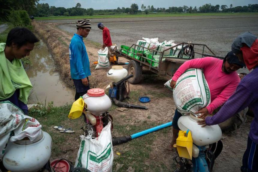 Soaring rice prices sow hope - and trouble - for indebted Thai farmers ...