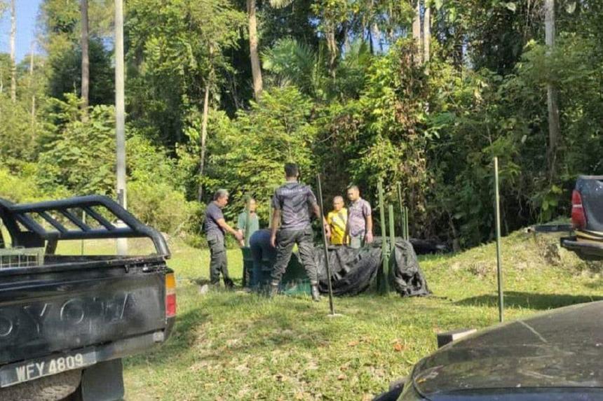 Black panther captured in Malaysia after spooking villagers | The ...