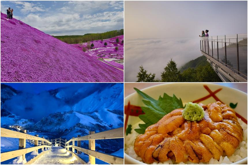 Hokkaido: Enjoy ethereal experiences, from Barbie-pink flower fields to ...