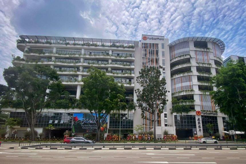 11-storey flower and gardening haven by Far East Flora opens in Clementi | The Straits Times