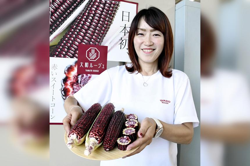 Japan’s first red sweetcorn becomes social media ‘jewel’ | The Straits ...