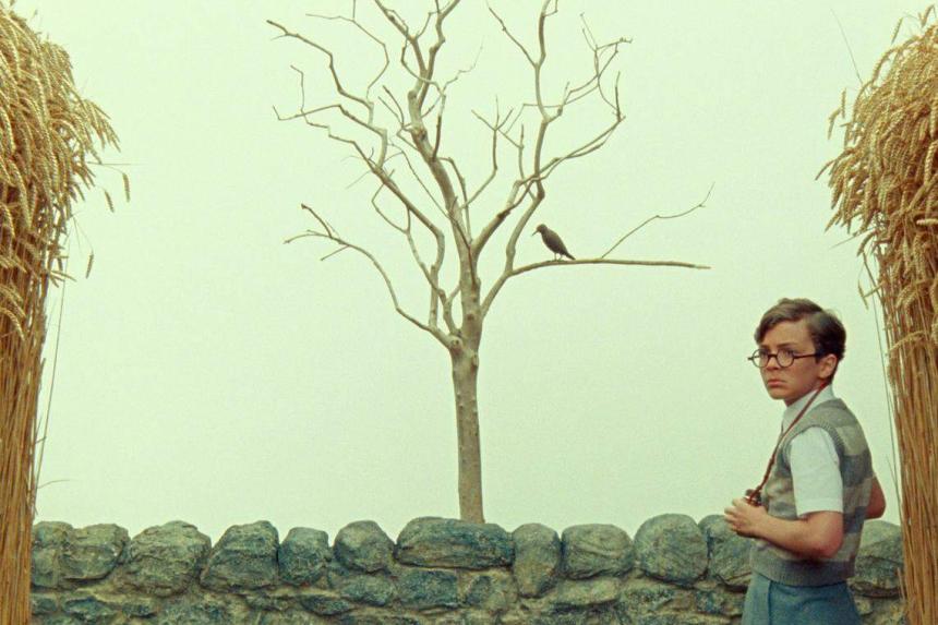 Binge-worthy: Wes Anderson’s Roald Dahl short film collection on Netflix is wicked good | The ...