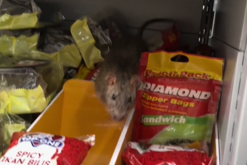 Rat caught on video jumping from FairPrice shelf in Pasir Ris | The ...