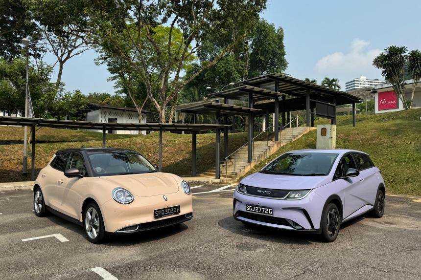 Car review: Electric vehicles BYD Dolphin and Ora Good Cat offer value ...